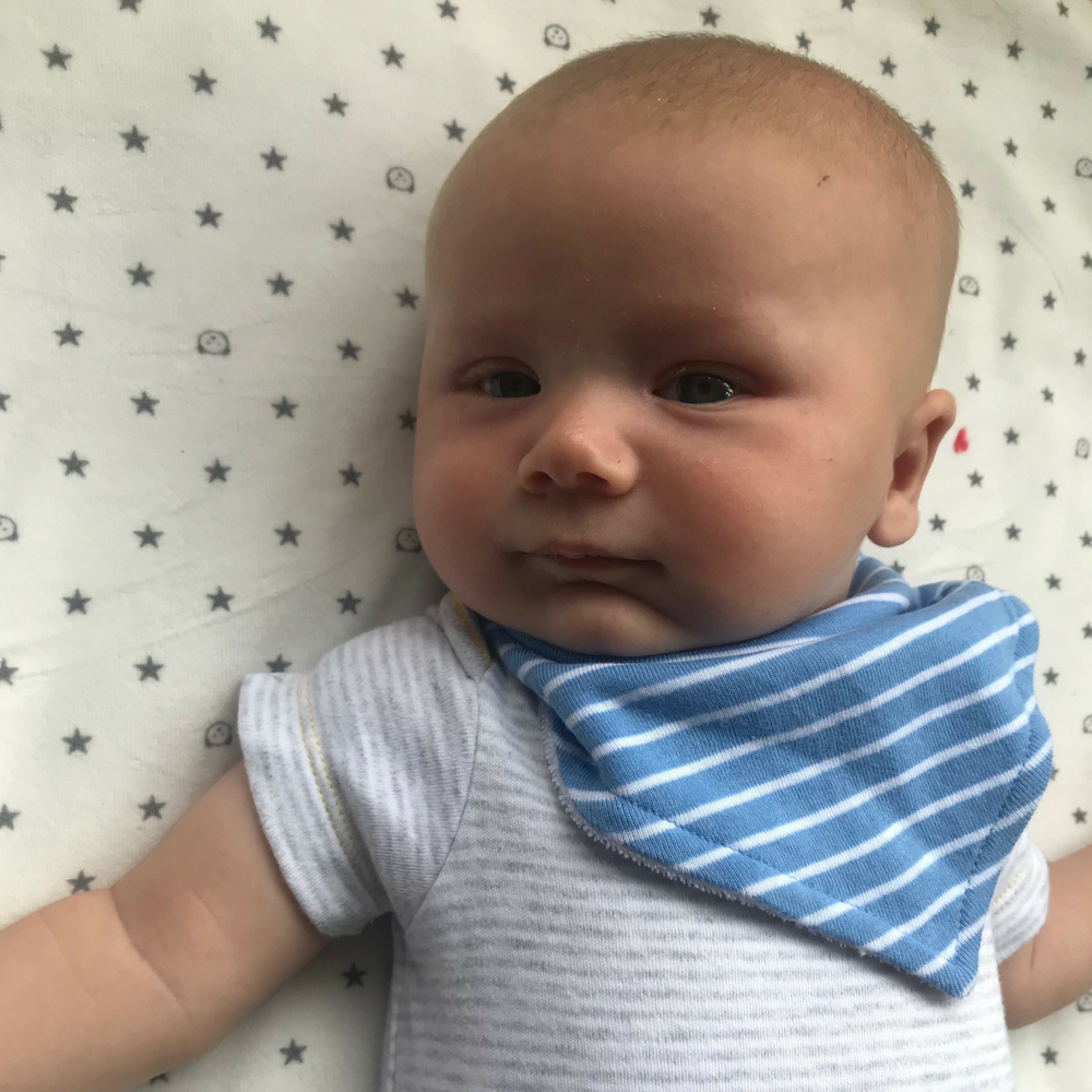 Bertie at 10 weeks old - Claire Moran Designs